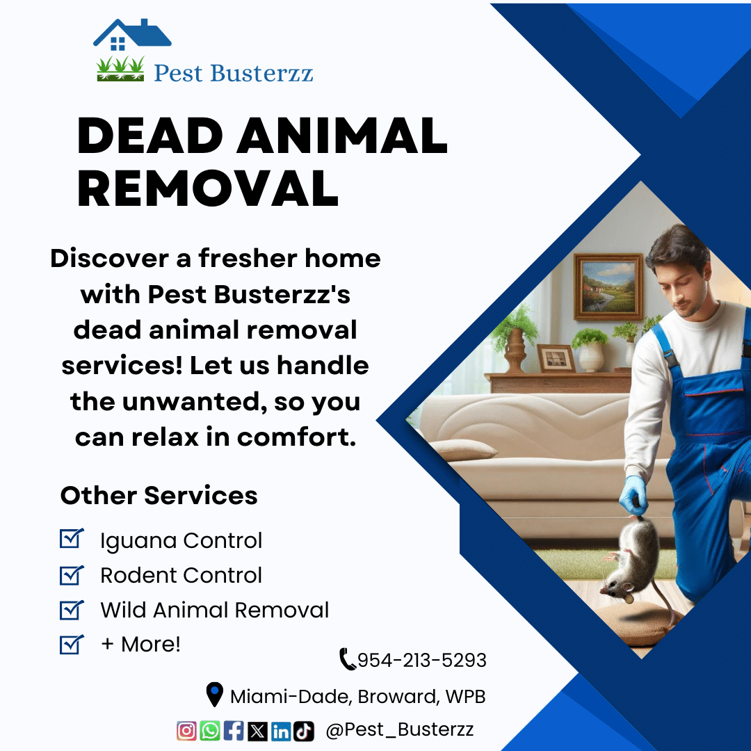Dead Animal Removal | Pest Busterzz